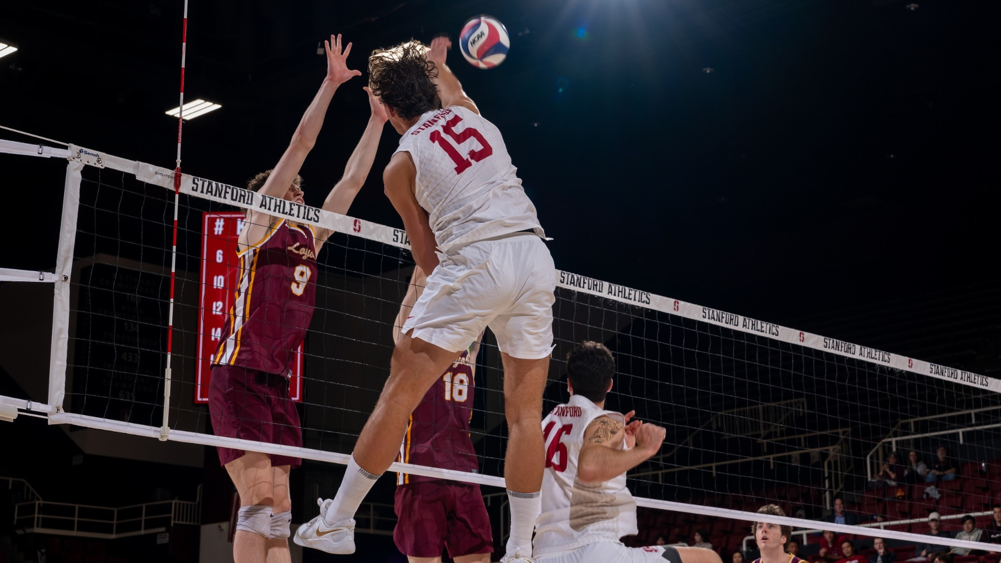 Rottman Secures National Honor - Stanford Cardinal - Official Athletics ...