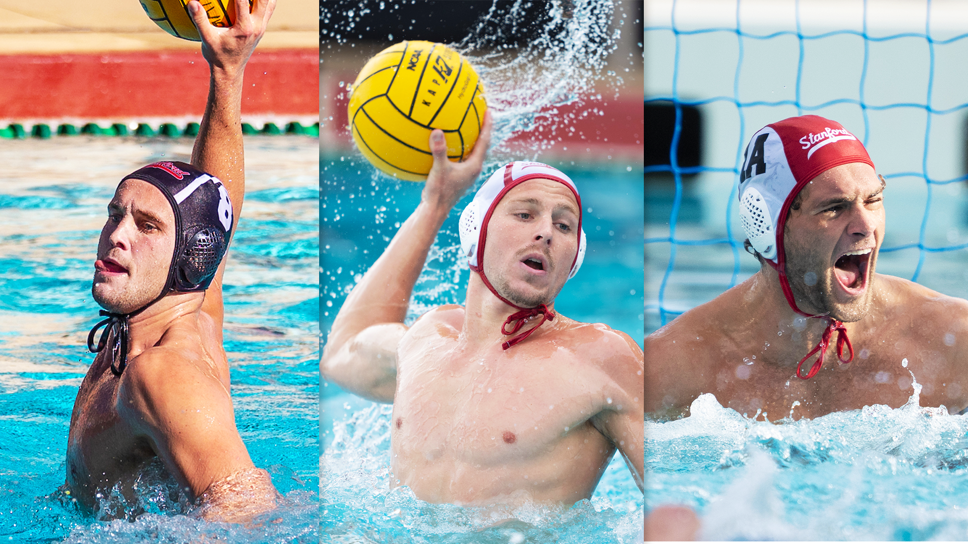 Three All-America Selections for the Cardinal - Stanford Cardinal ...